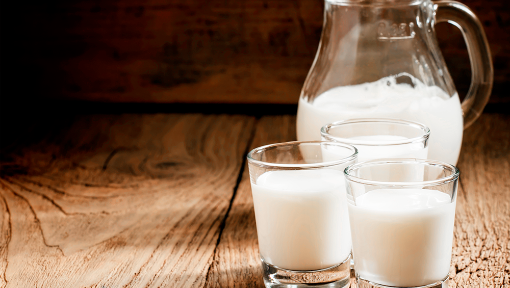 Leite A2A2: O que é? Saiba mais com a Premix! - Blog Premix