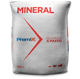 Produtos Premix Gado de Corte - Conversor Reprodução Next MC